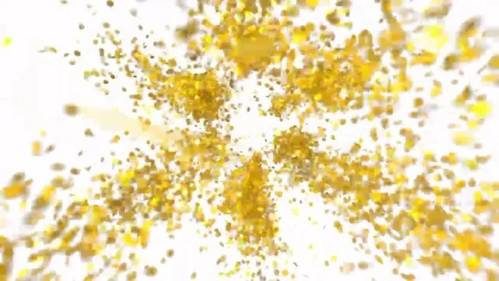 About — BIG YELLOW DOG