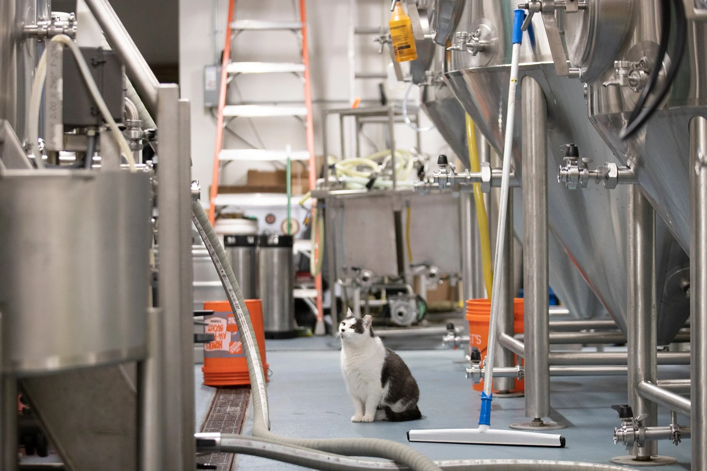 Redemption Rock Brewing Co. | Worcester Craft Brewery, Taproom, and Cafe