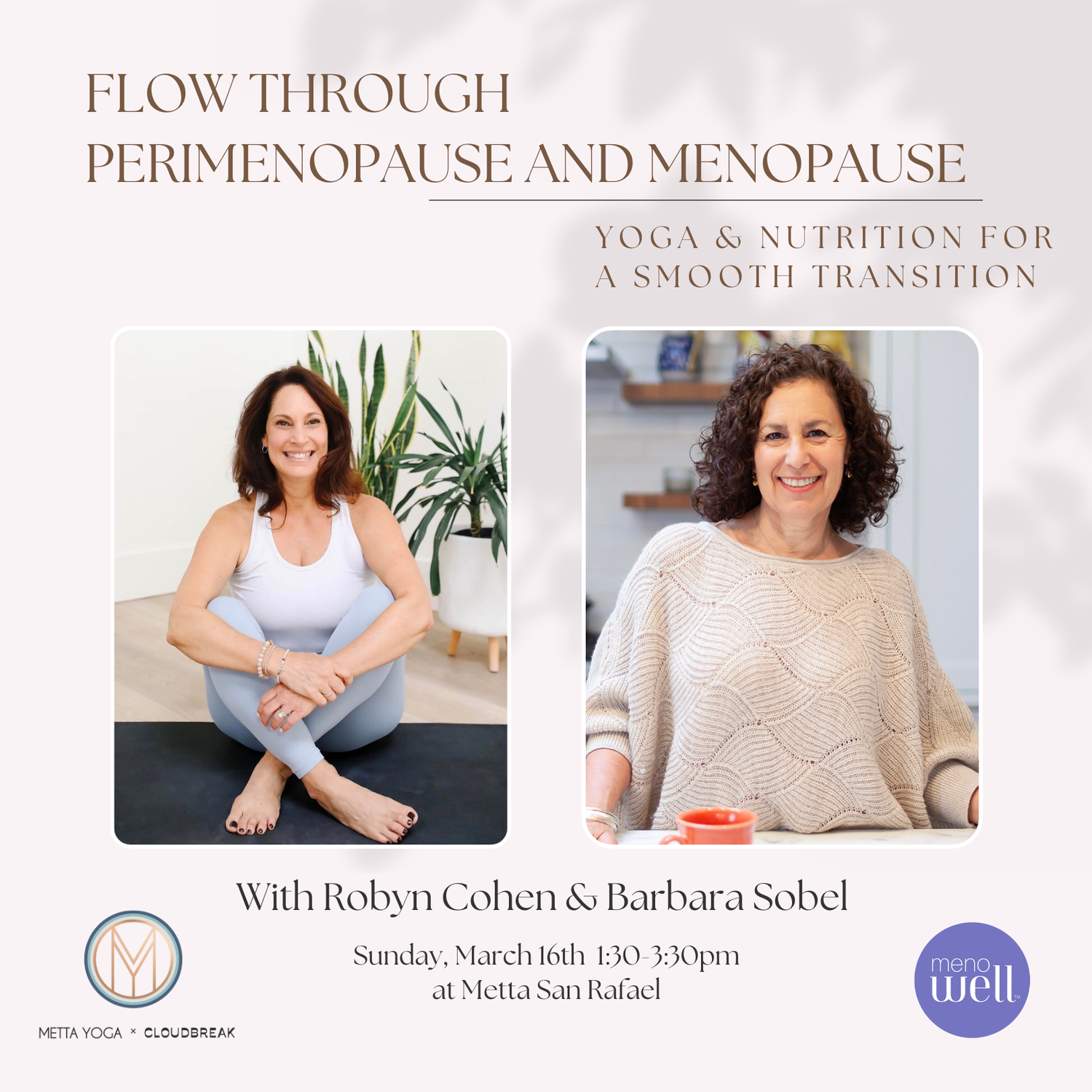 Flow Through Perimenopause and Menopause - with Robyn Cohen and Barbara ...