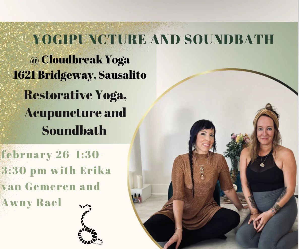 Schedule — Metta Yoga