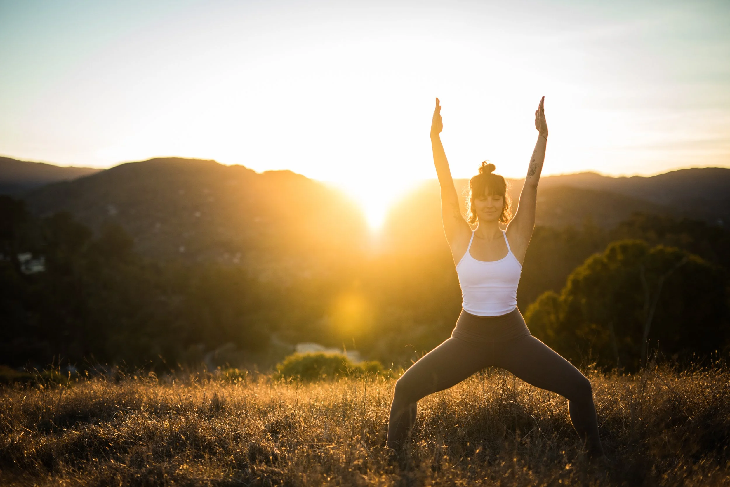 Creative Sequencing for Yoga Teachers: A 20-Hour Intensive — Metta Yoga