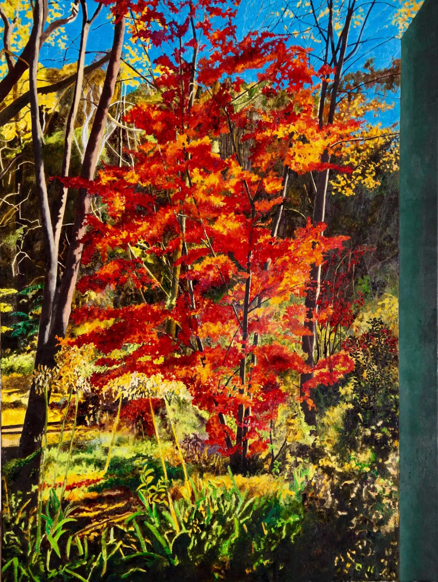 Oils — Graham Marchant