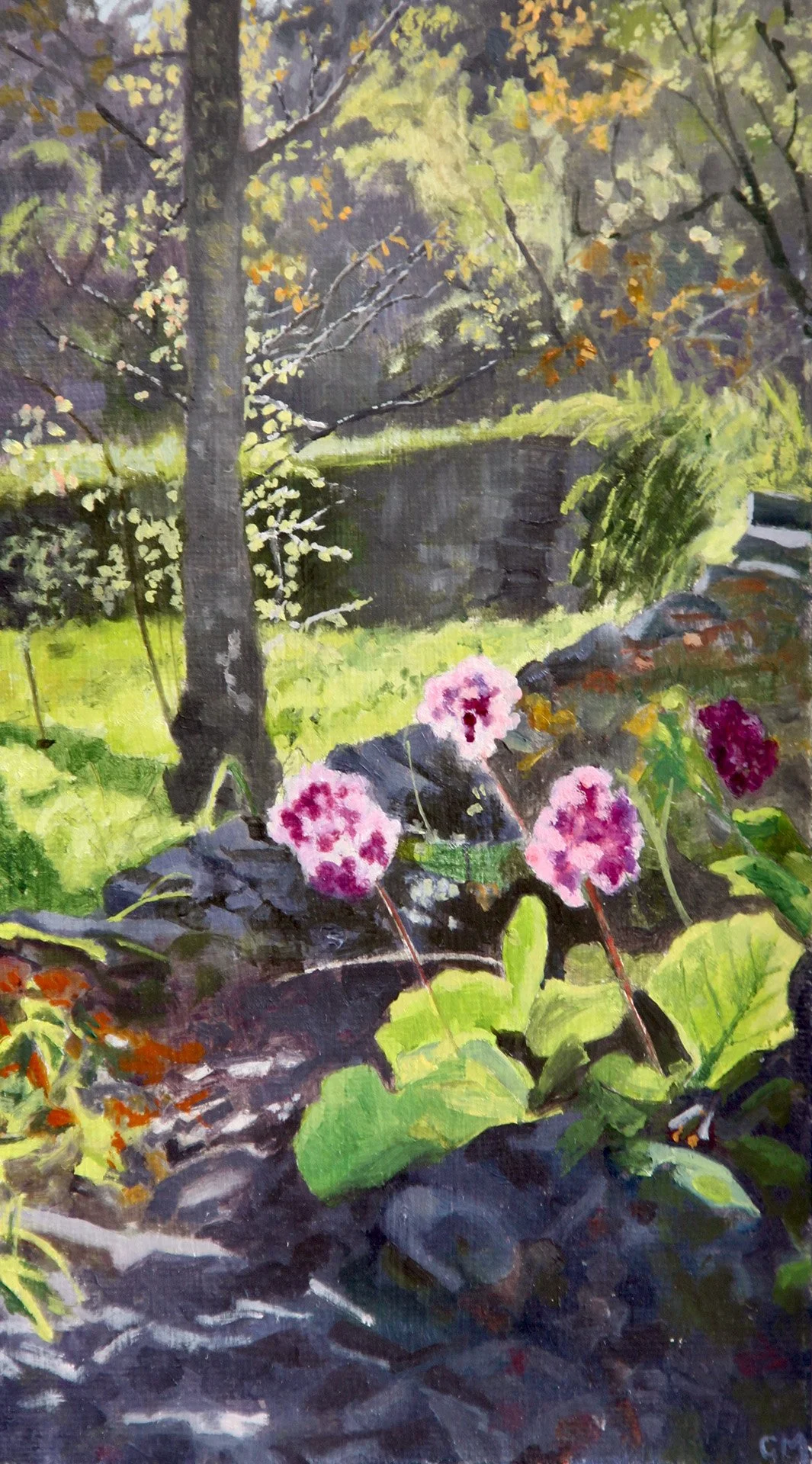 Oils - Gardens — Graham Marchant