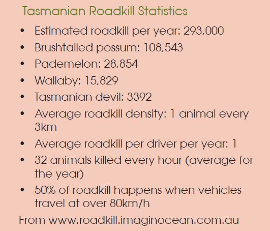 Roadkill: A survey of state road authorities and local government ...
