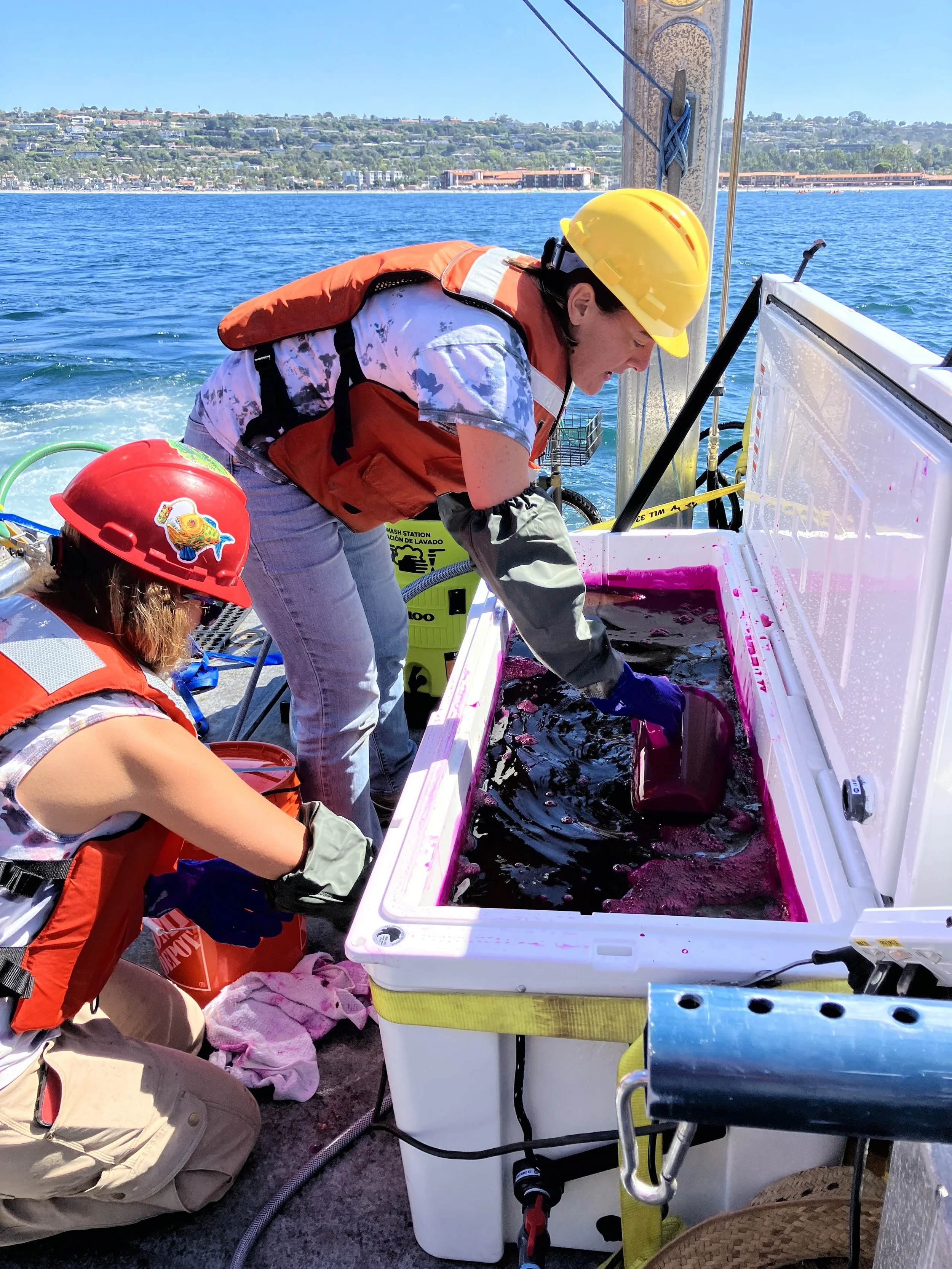 TLC Dye Release in La Jolla Canyon — MULTISCALE OCEAN DYNAMICS
