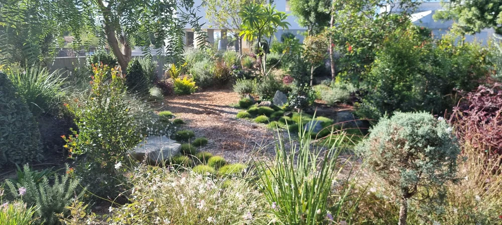 Landscape Architects