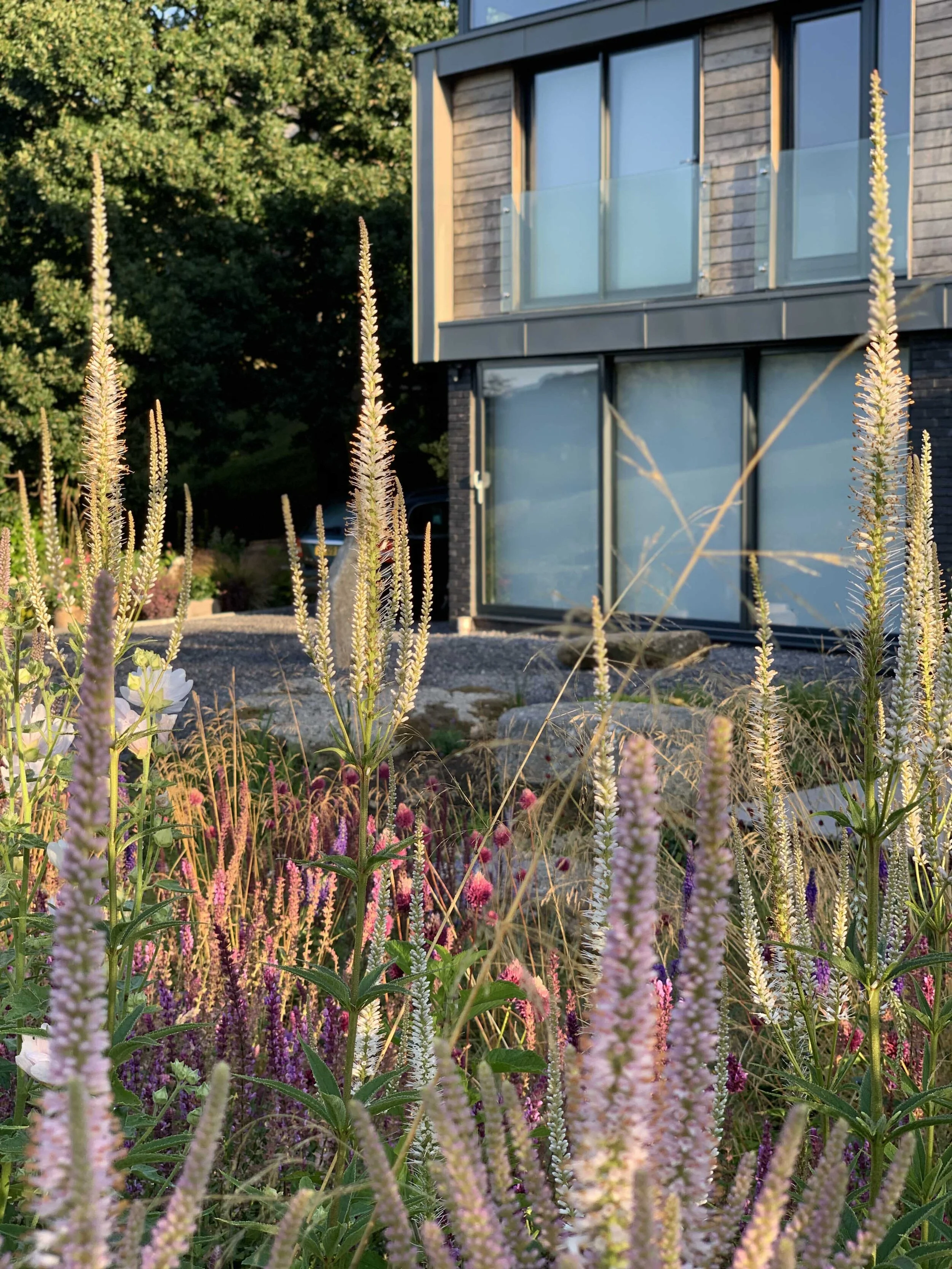 Tom Simpson Design - Devon Garden