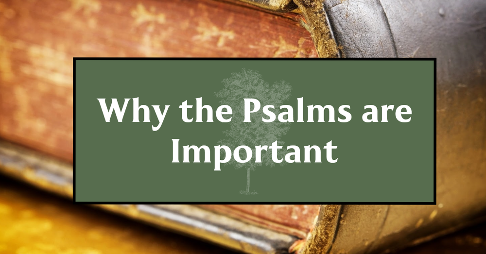 Why the Psalms are Important — Emmaus Ministries