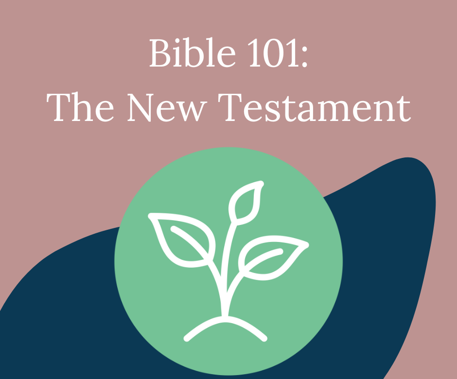 Bible Online One New Man Bible Companion Vol II: Commentary & Articles