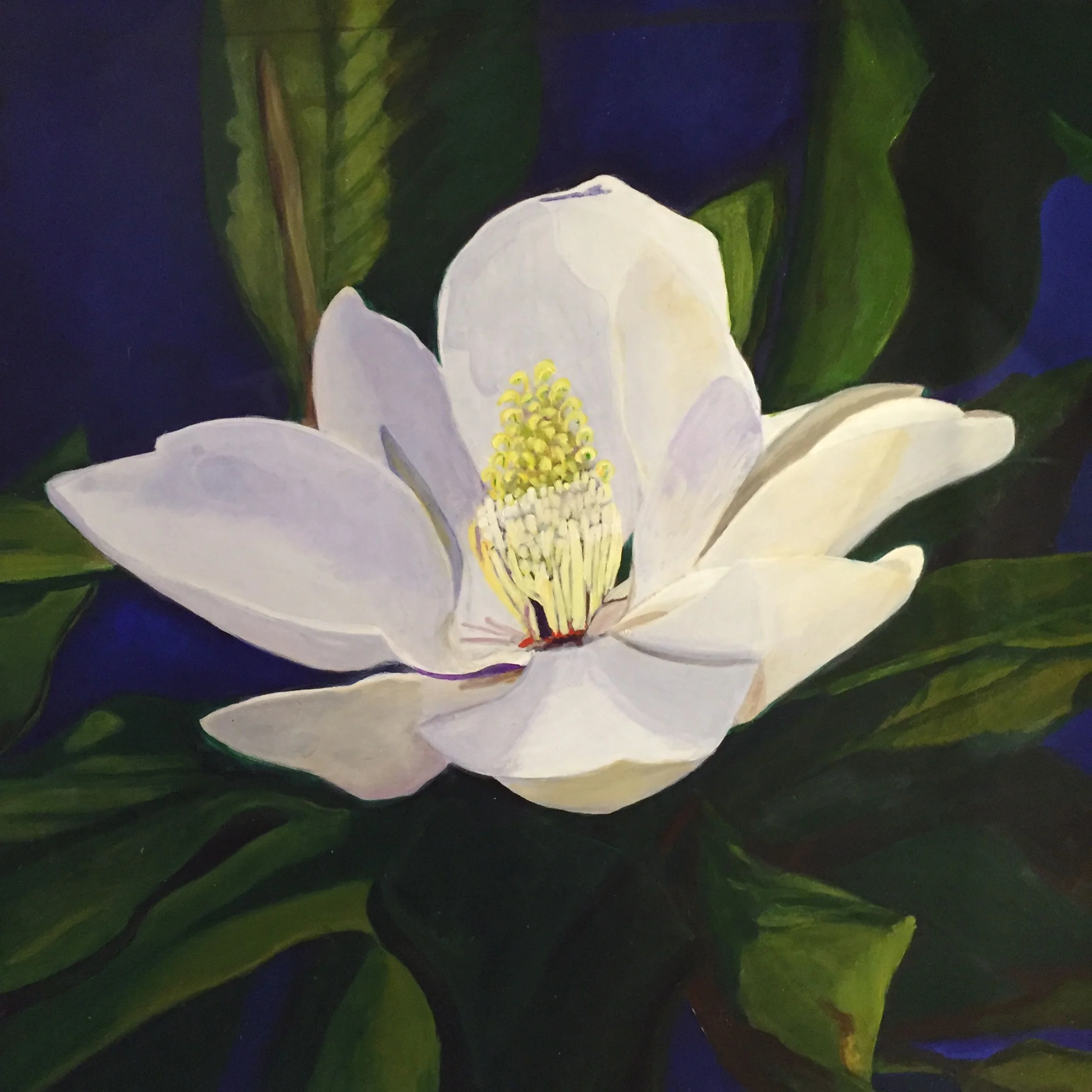 Alida Whitney Morgan Artist and Landsvape and Garden Designer