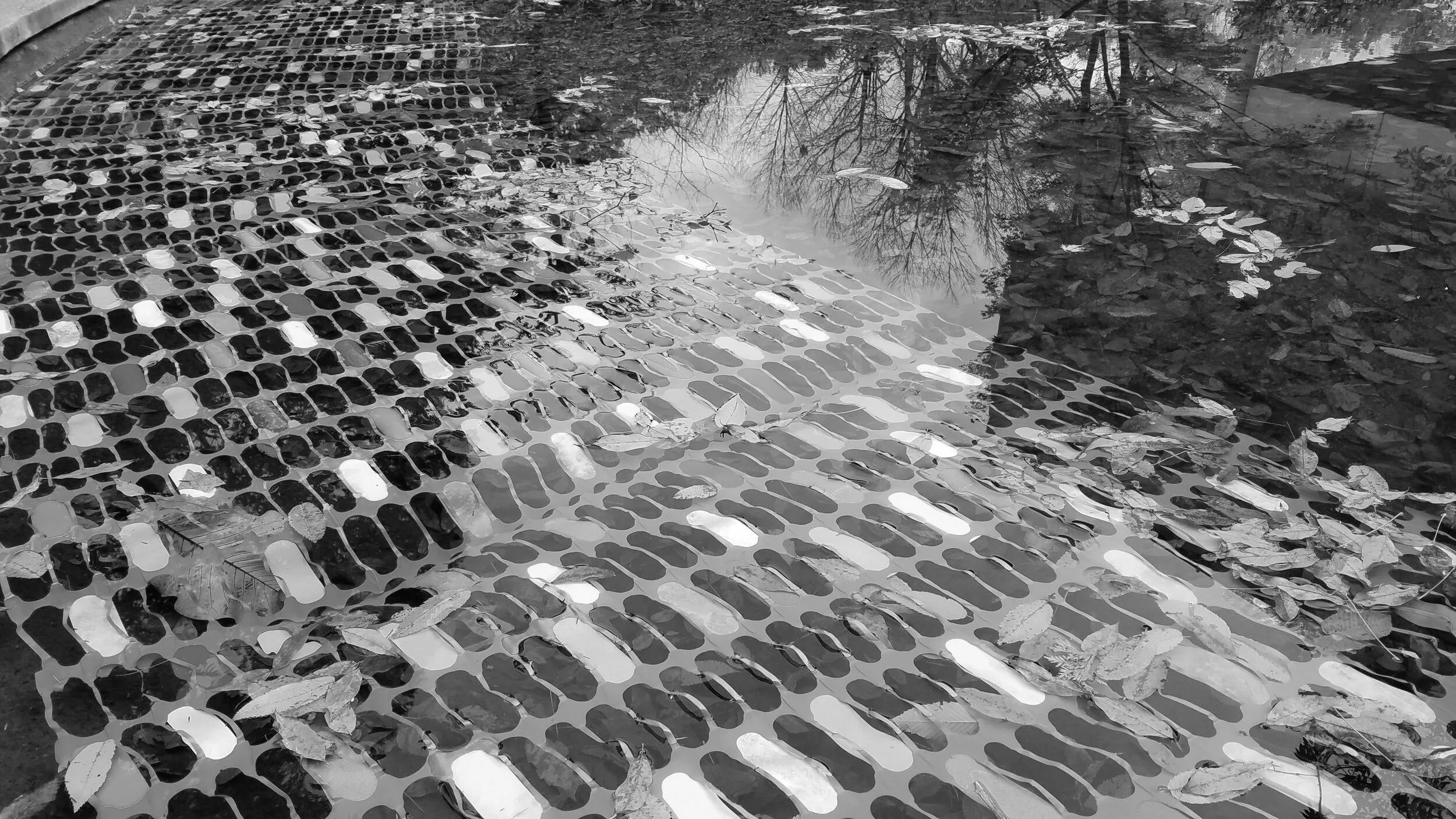 Students display ecological art installations across campus — Mount ...