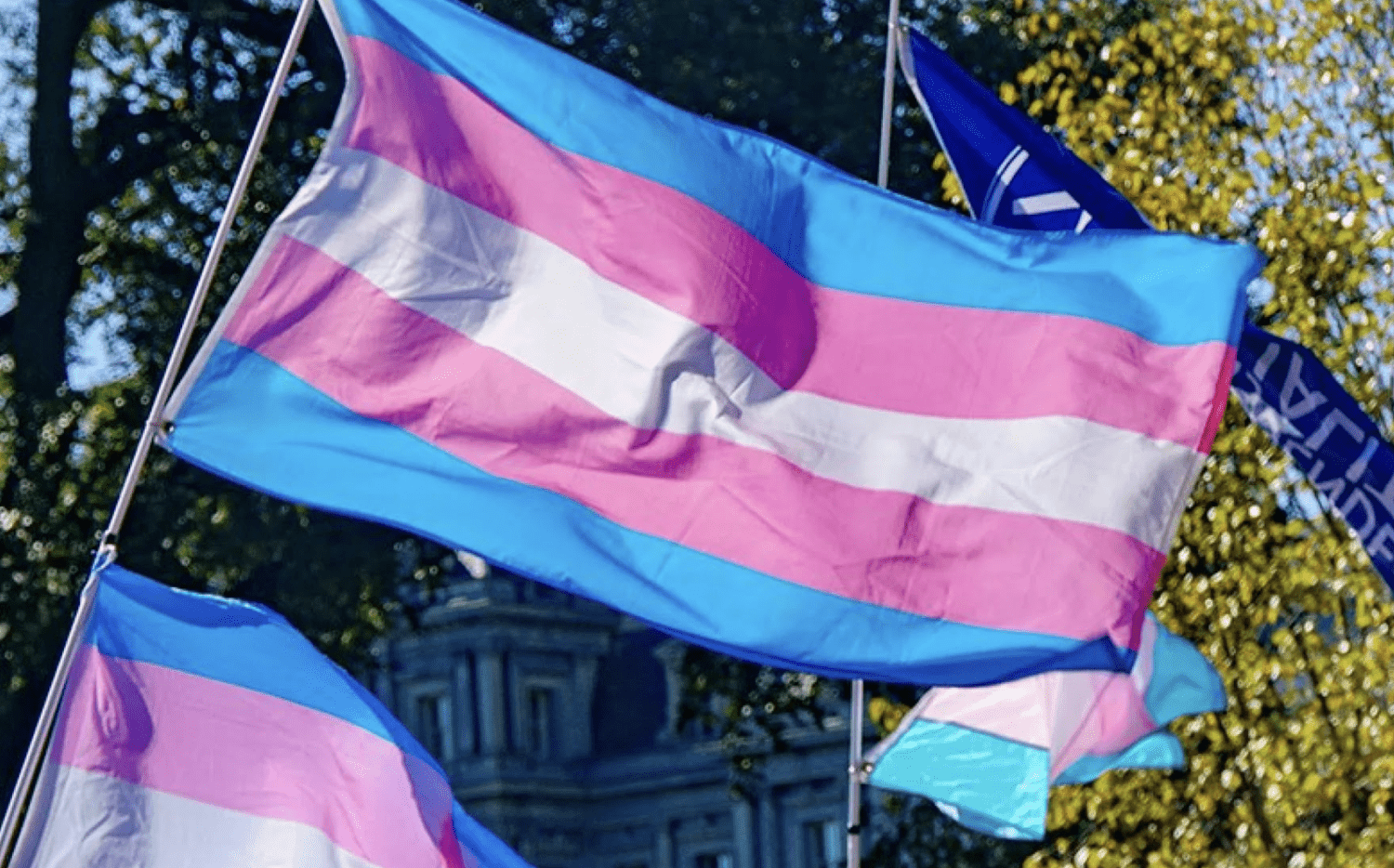 MHC Athletics complies with new NCAA policy for transgender athletes ...