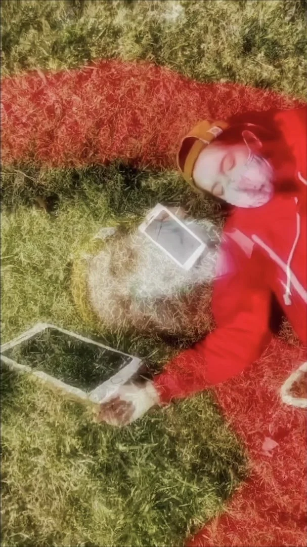 Portfolio — Taylor Lee