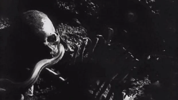 Schlock Value: Caltiki, The Immortal Monster (1959) — Talk Film Society