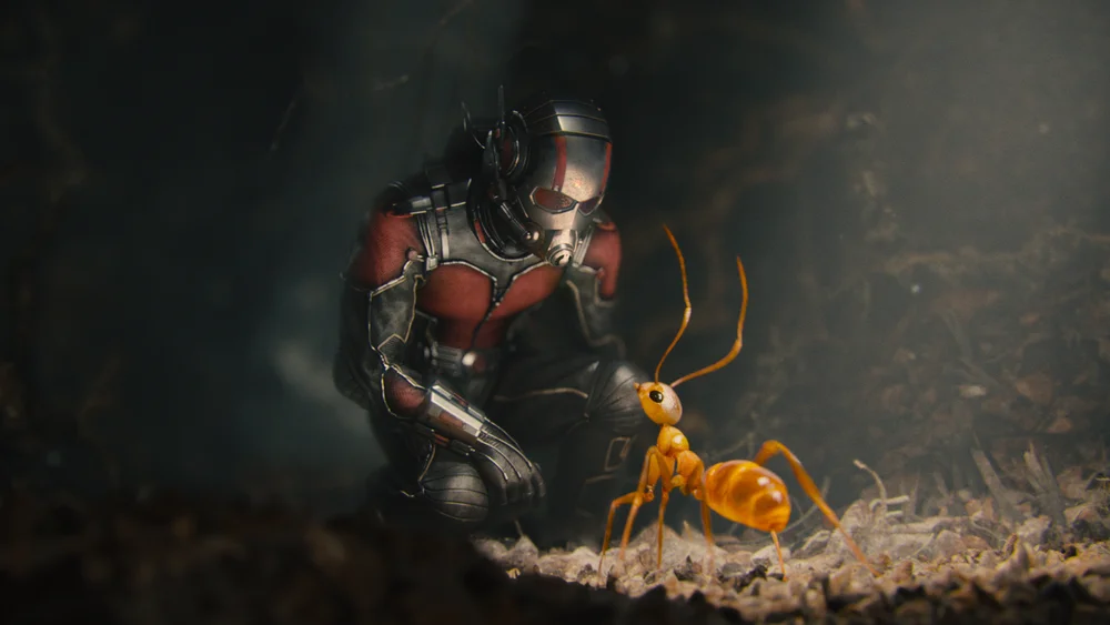 The Definitive Ranking of the Marvel Cinematic Universe — Talk Film Society