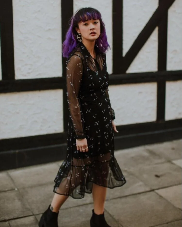 Show Notes on Dream a Little Deeper: Lady and the Tramp — Talk Film Society