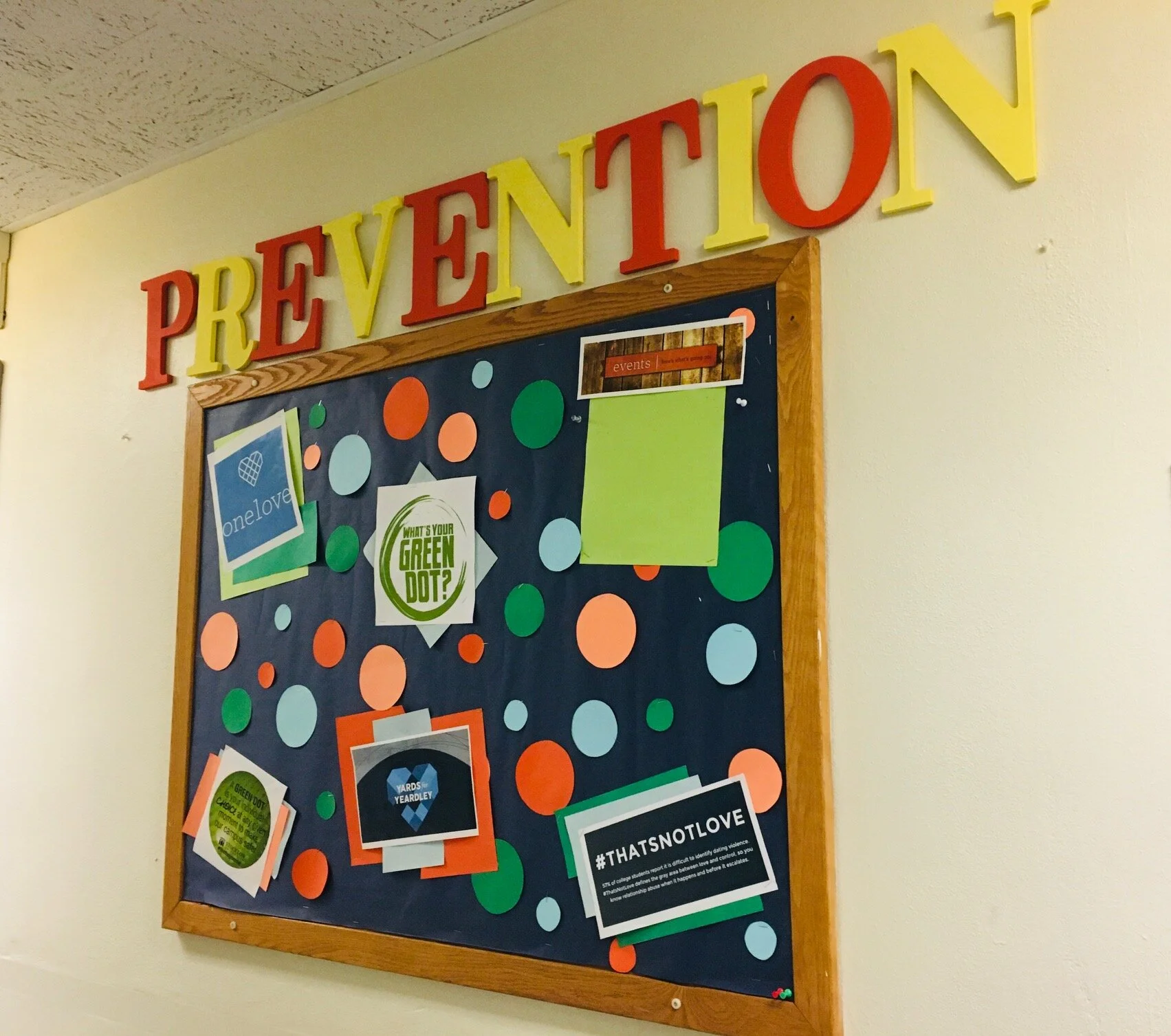 Geneseo PREVENT program continues despite federal funding loss — The Lamron