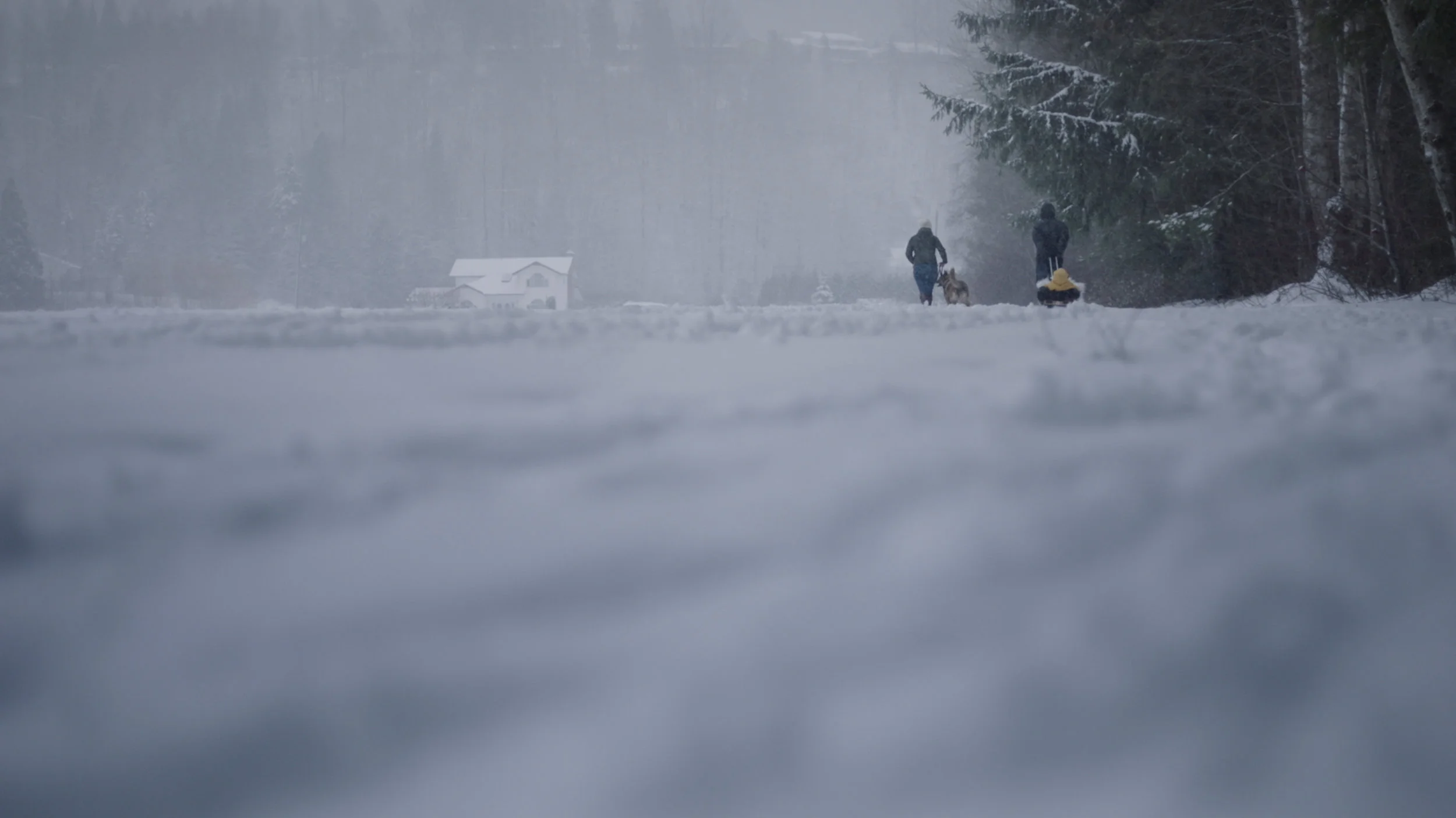 MITCHELL BAXTER | This Ink Runs Deep | Director of Photography ...