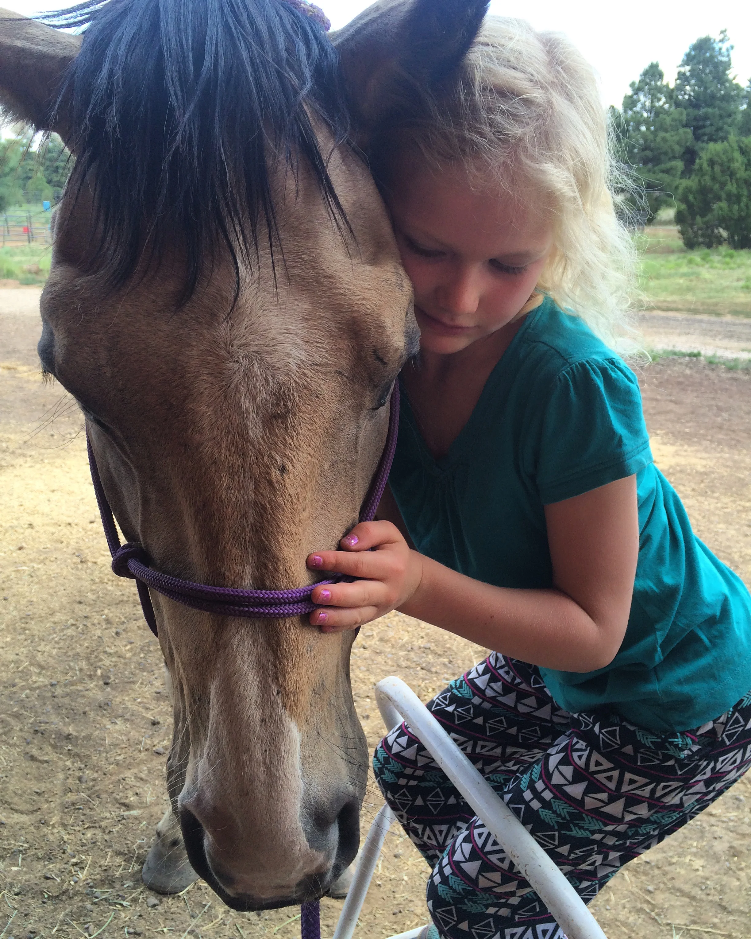 Riding Lessons — Summer Sage Stables