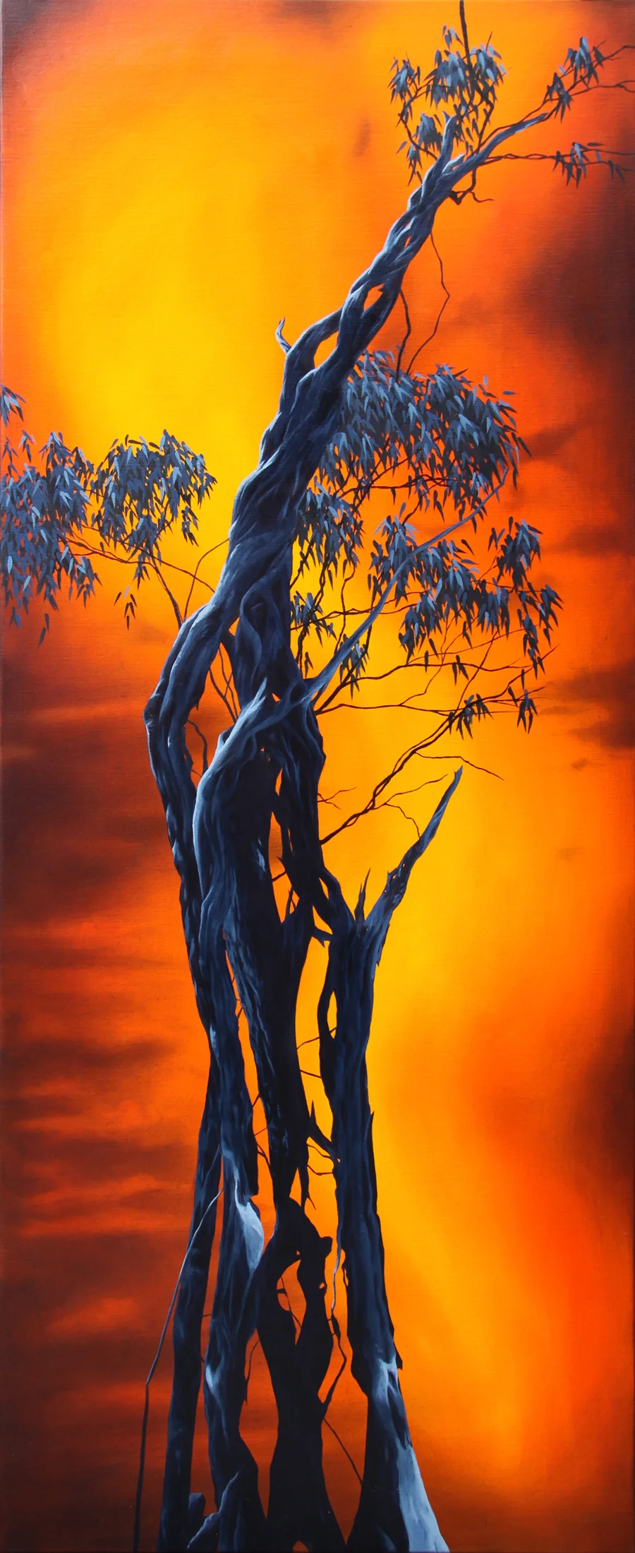 2014 - ILLUSIVE REALITY — JACK ROWLAND