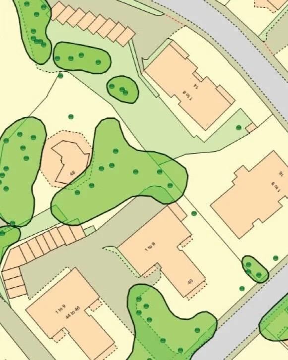 GIS tree mapping — Treecology