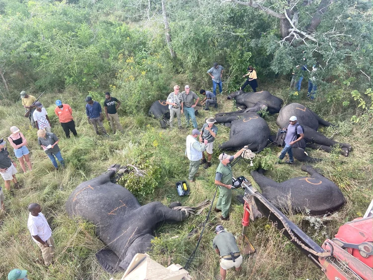 Who We Are — Ivan Carter WCA