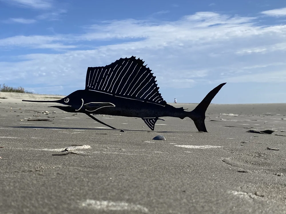 Sailfish