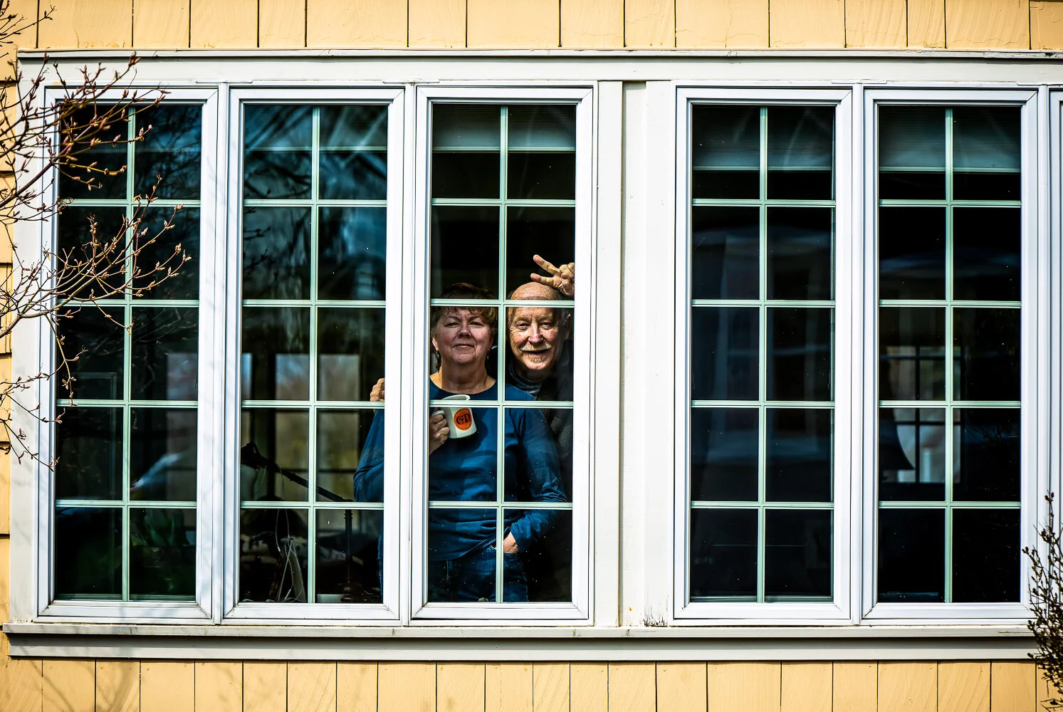 Coronavirus Quarantine Window Portraits — GREEN SKY Detroit Photo and ...