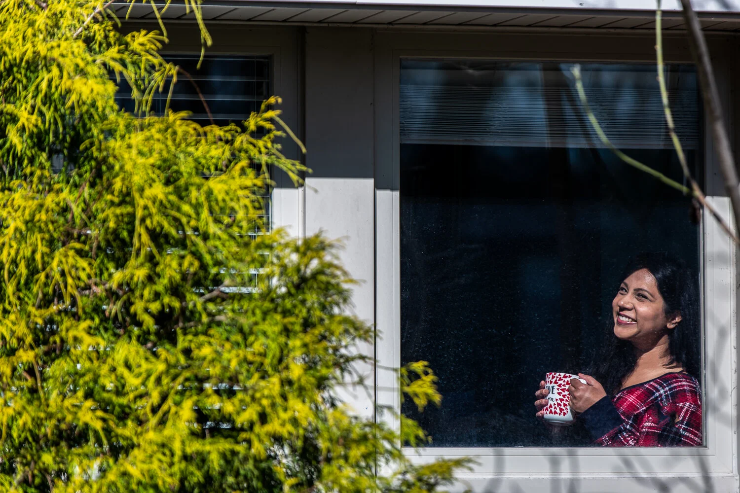 Coronavirus Quarantine Window Portraits — GREEN SKY Detroit Photo and ...