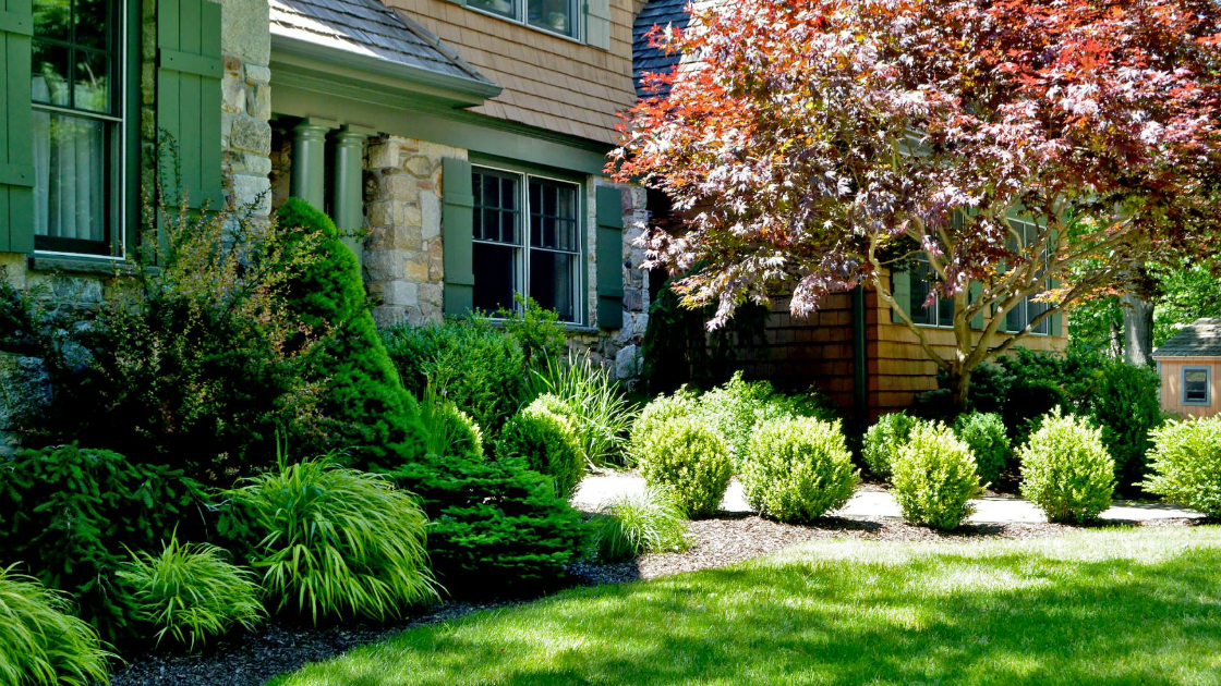 Foundation Landscape Layouts Design School: Foundation Plantings And