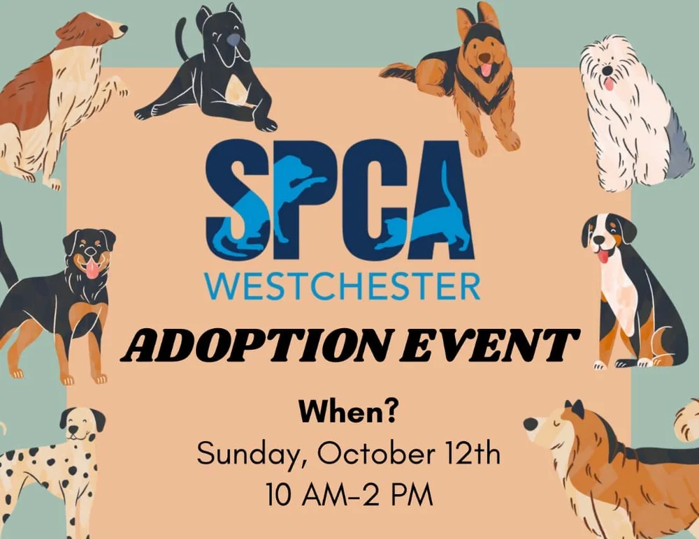 SPCA Adoption Event