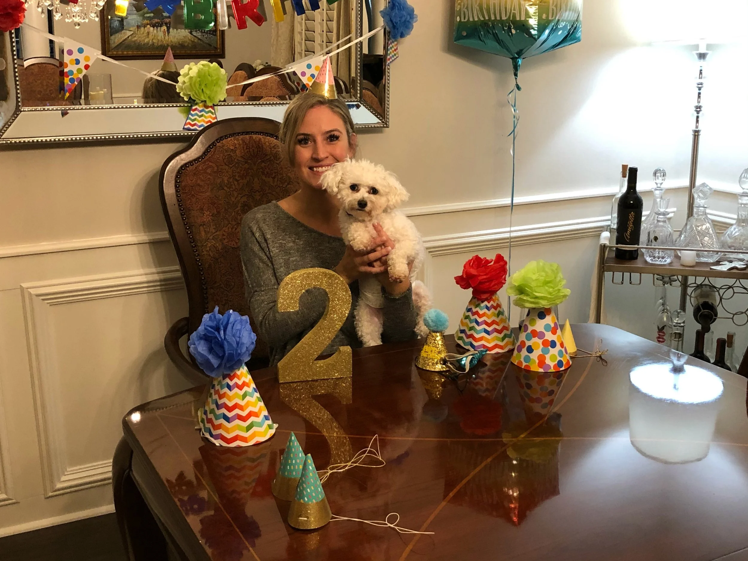 Pet Birthday Party Ideas — Every Piece Fits