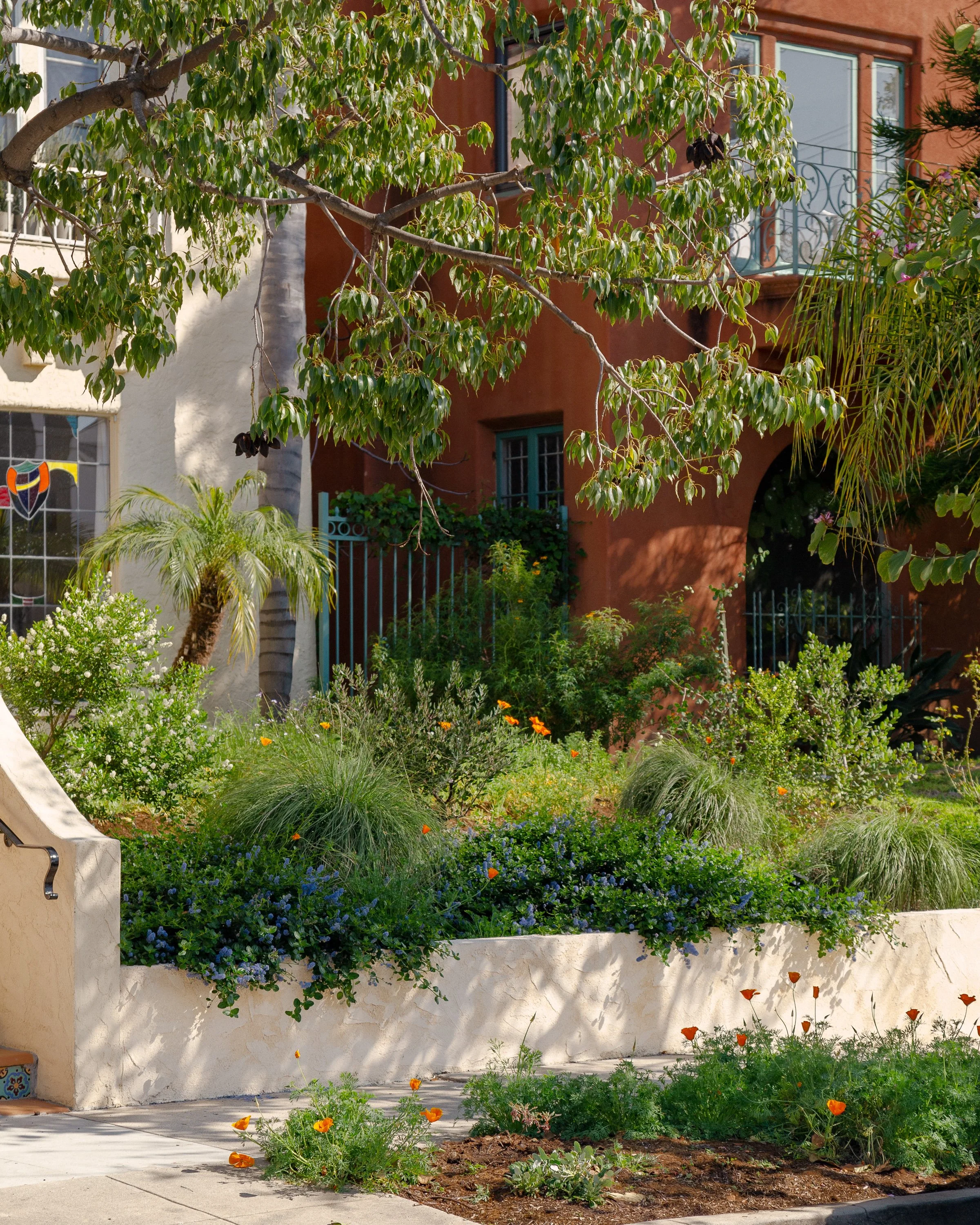 Masselin — Solis Gardens