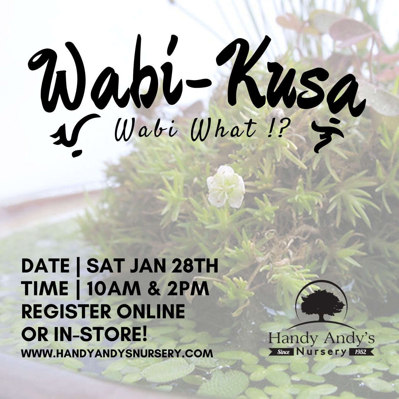 Handy Andy's Nursery