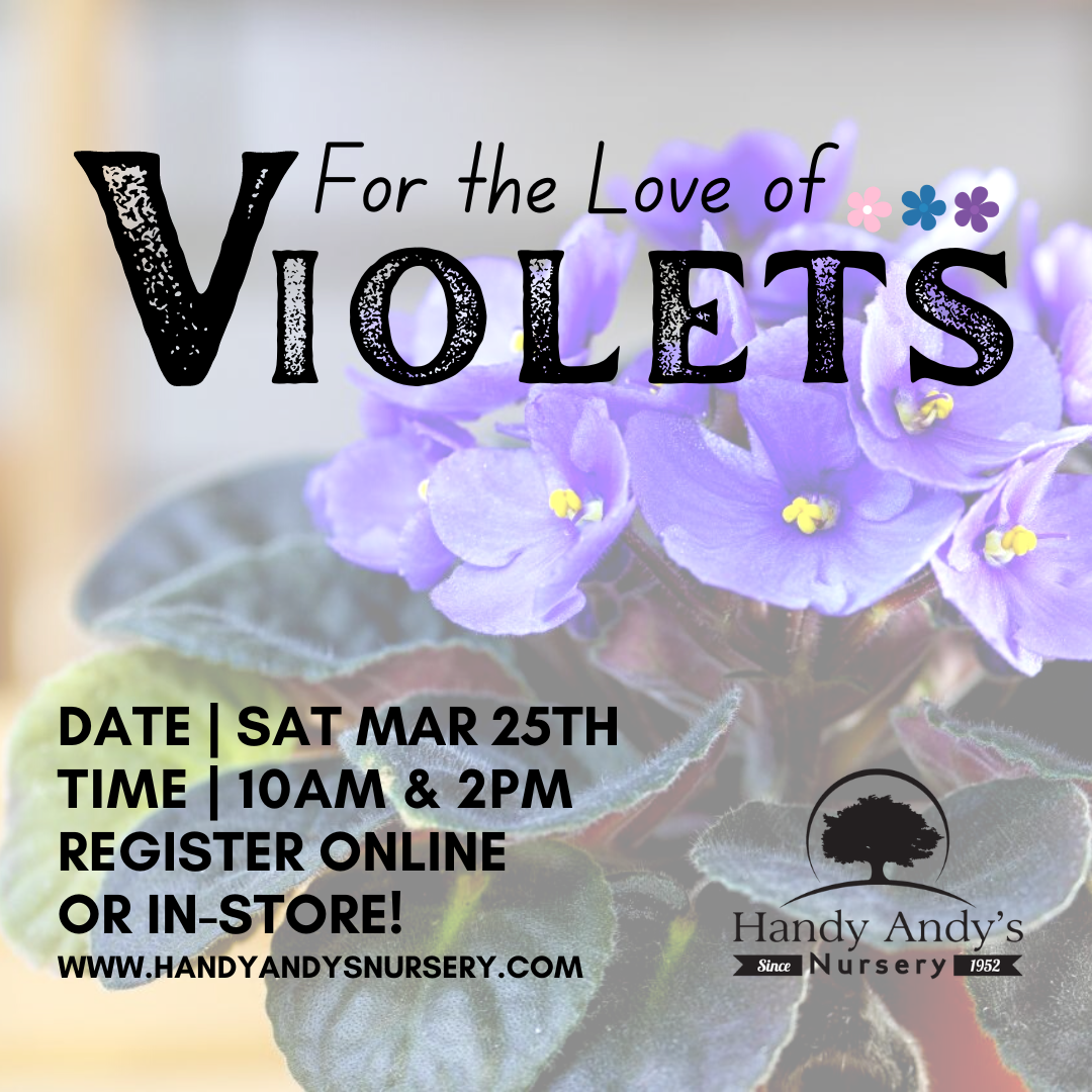 Handy Andy's Nursery