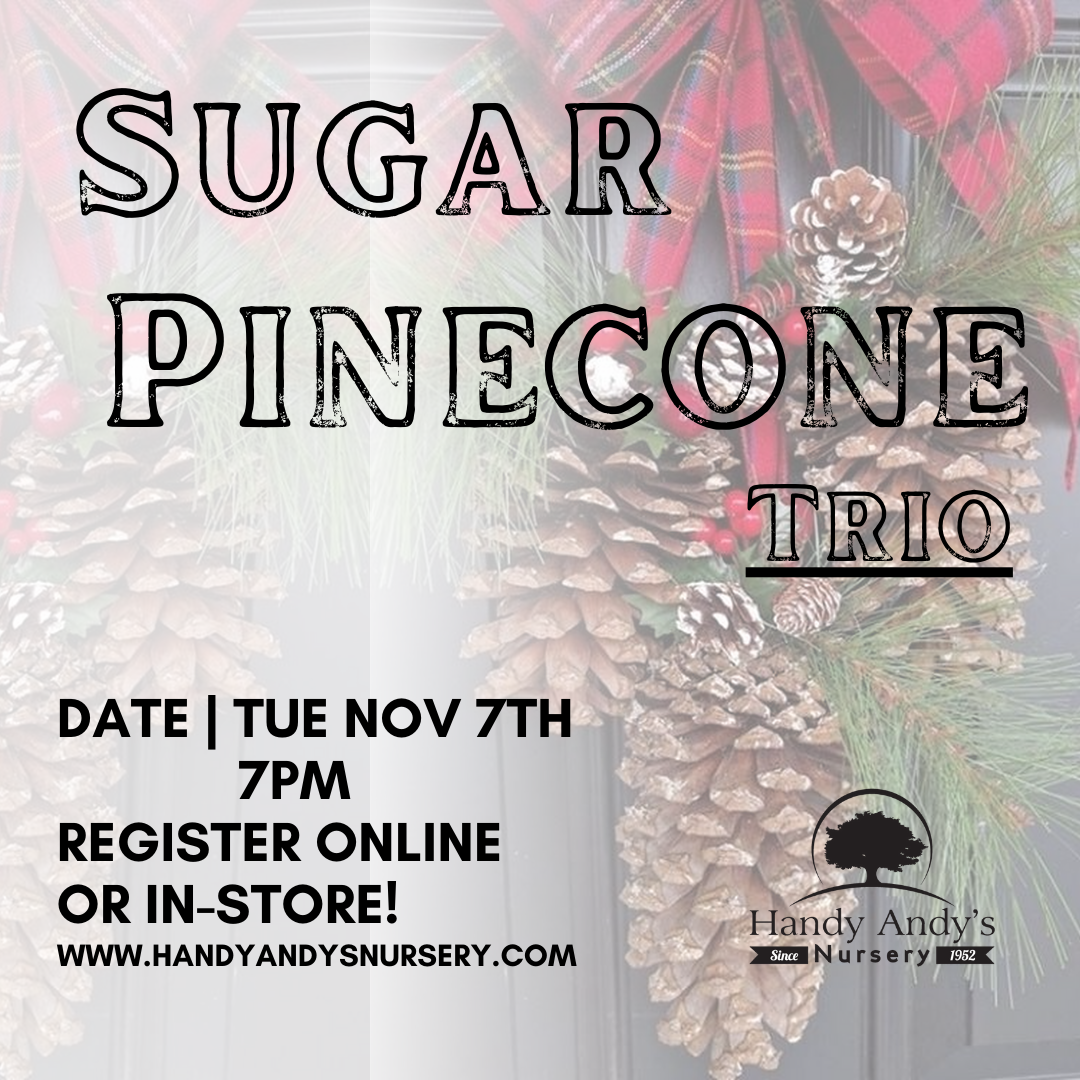 Handy Andy's Nursery