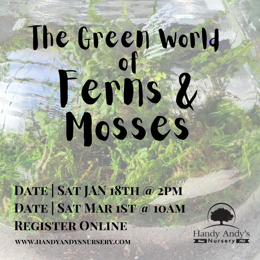 Handy Andy's Nursery