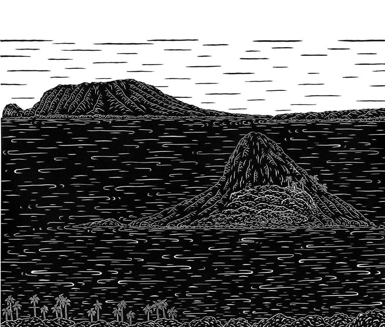 Shop Originals — Polu Gallery