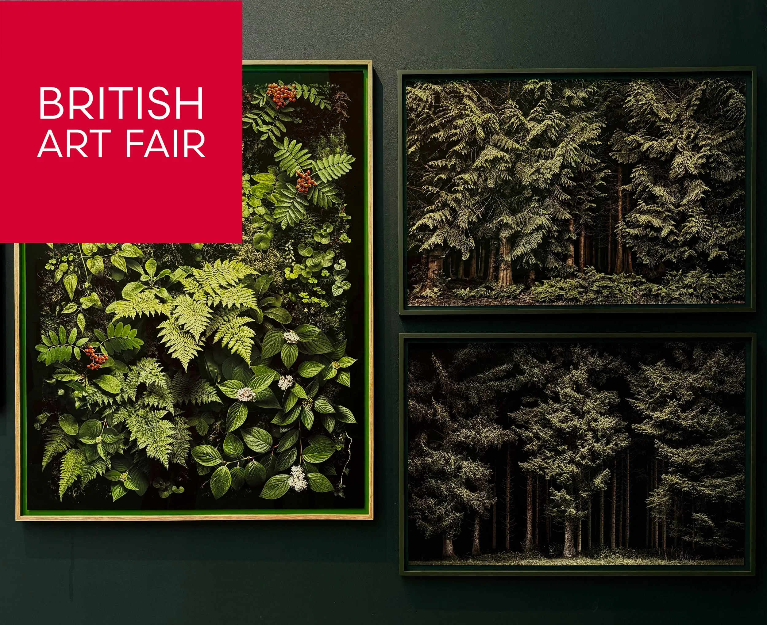 website of fine art photographer Jasper Goodall