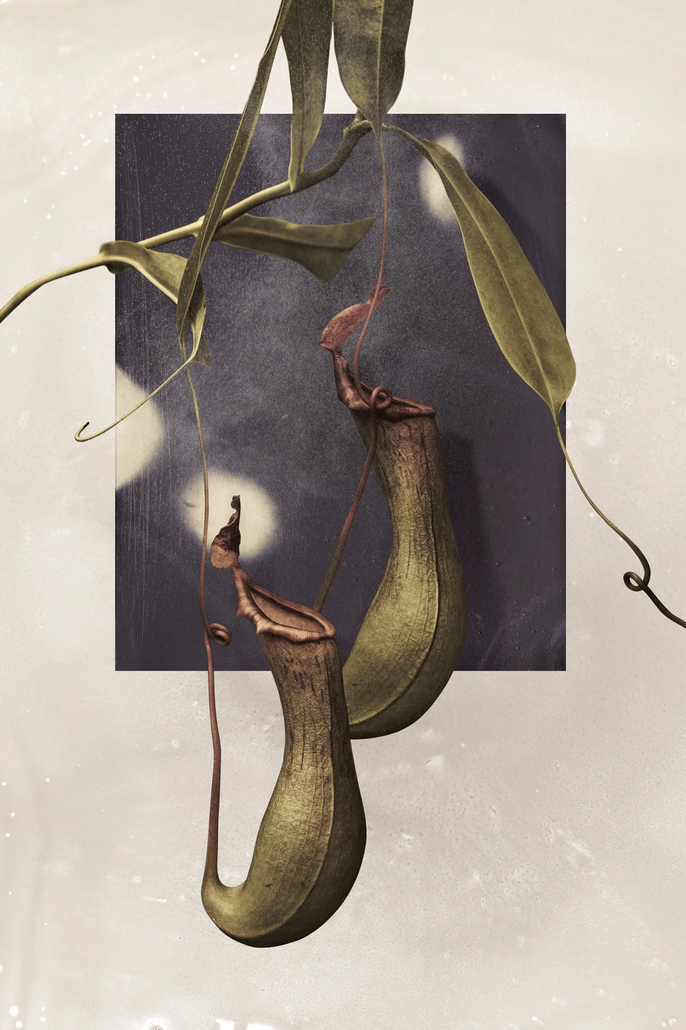 Projects — Jasper Goodall