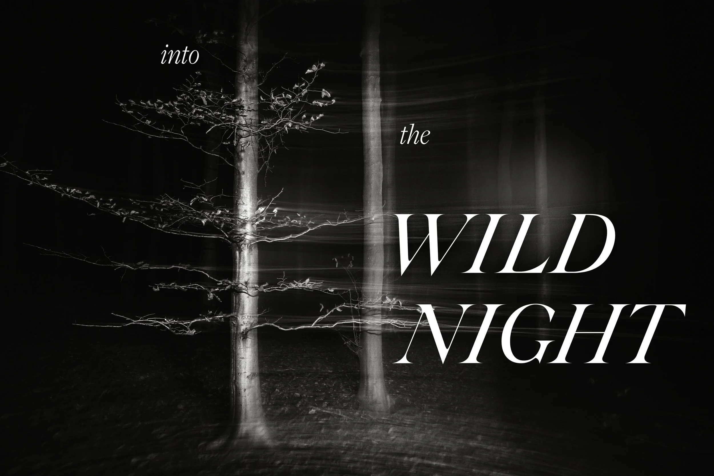 Wild Night — Jasper Goodall