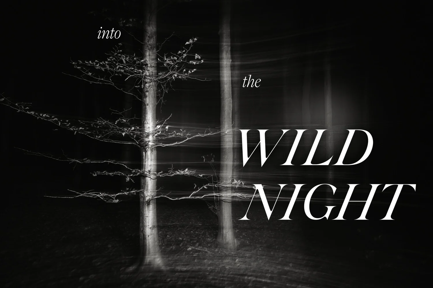 Wild Night — Jasper Goodall