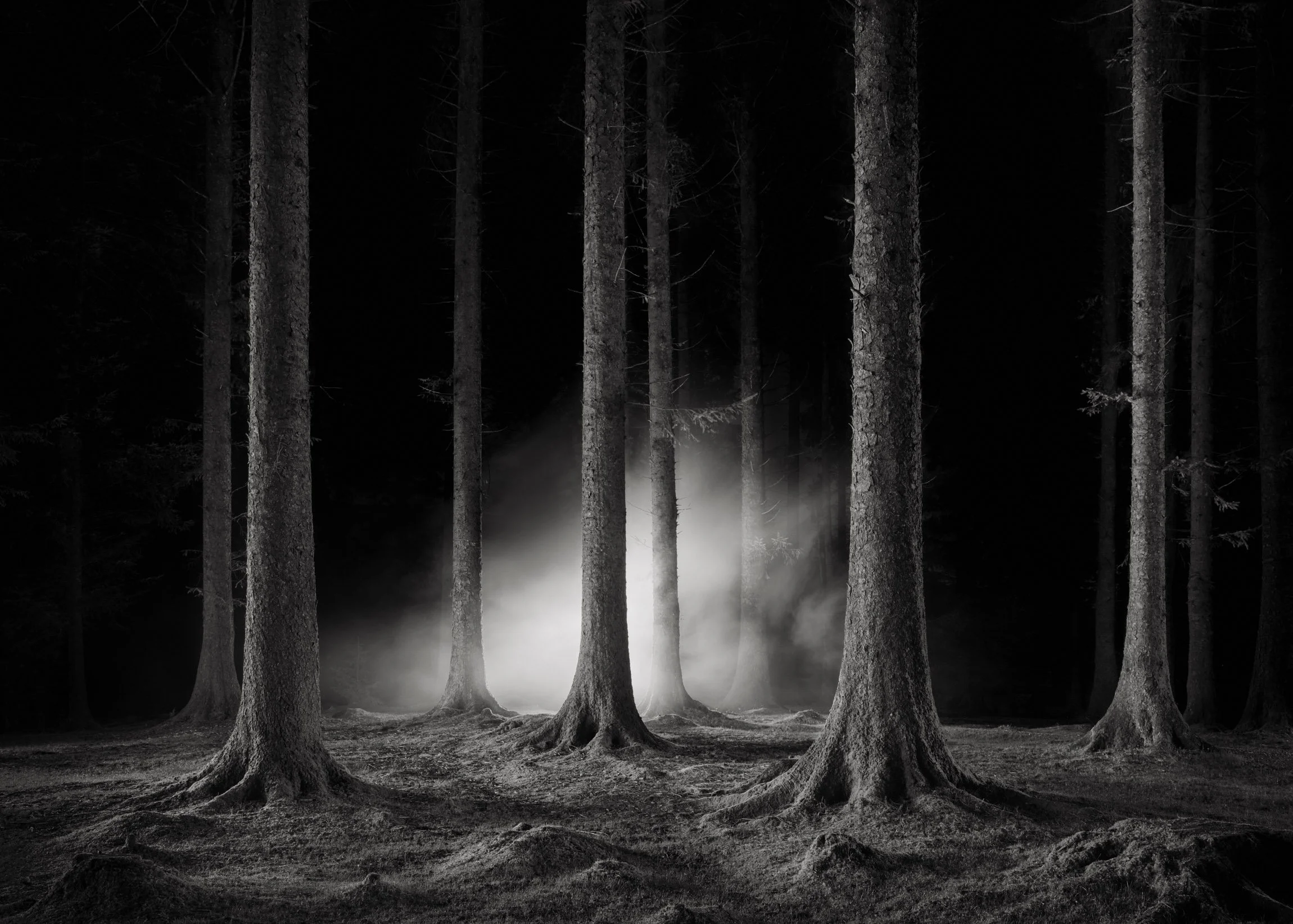 Wild Night — Jasper Goodall