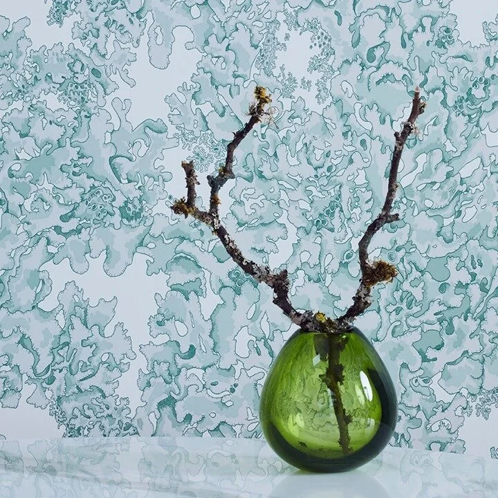 Contact — Abigail Edwards | Hand drawn wallpapers, fabrics and accessories