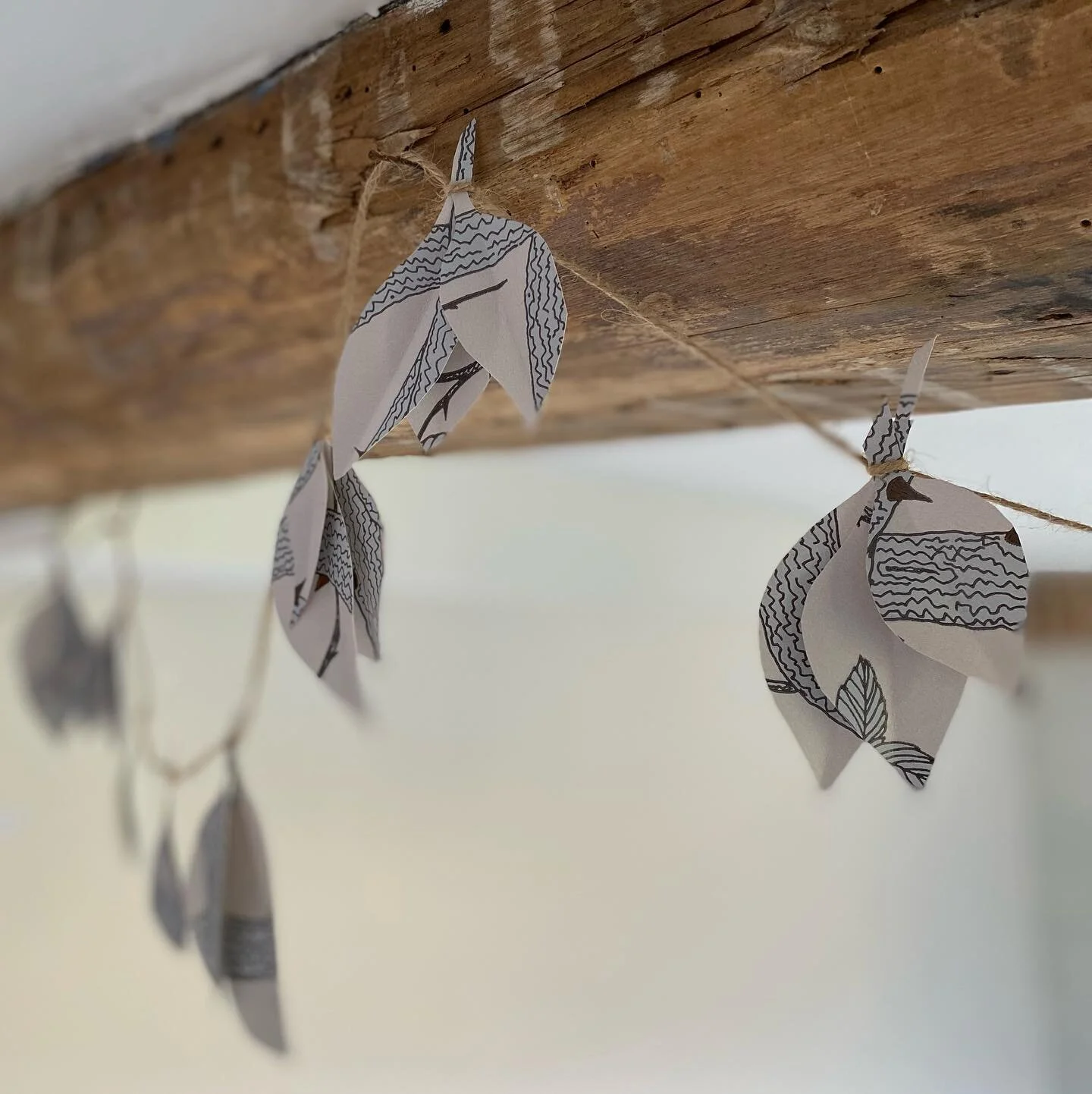 Abigail Edwards | Hand drawn wallpapers, fabrics and accessories