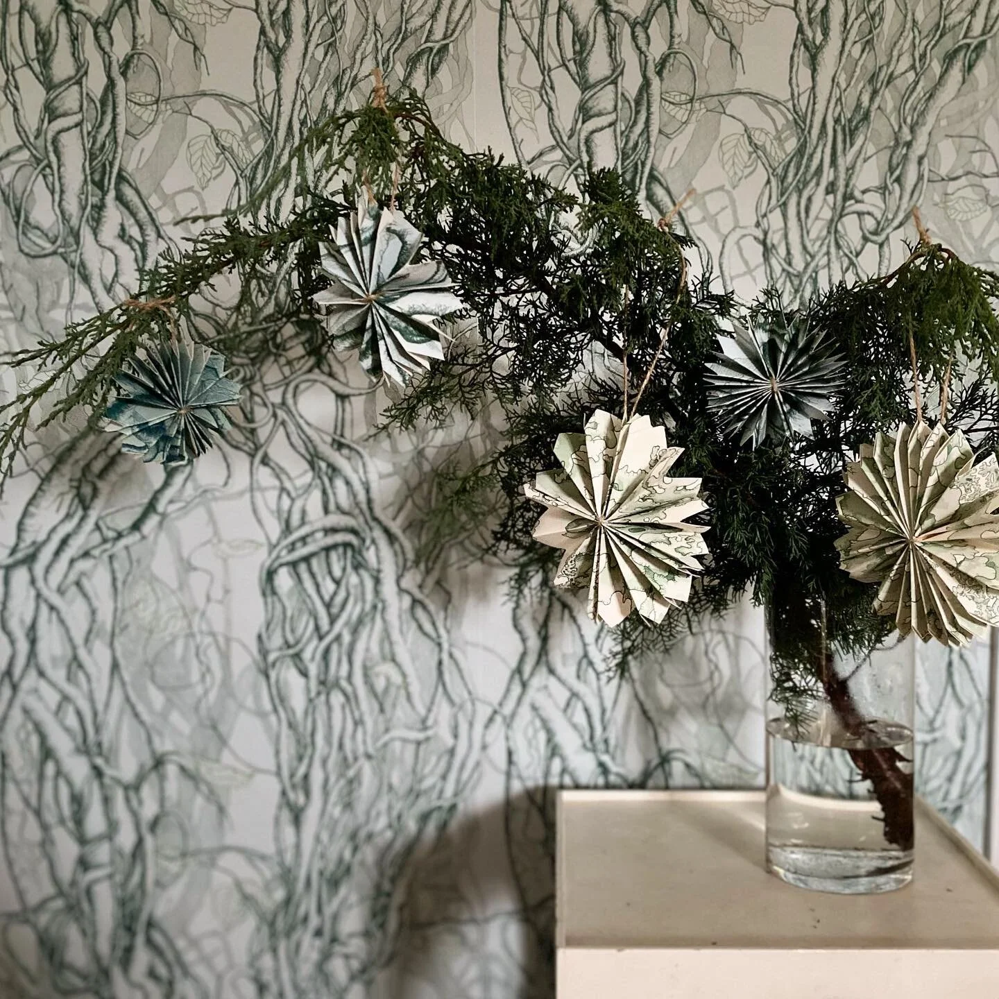 Abigail Edwards | Hand drawn wallpapers, fabrics and accessories