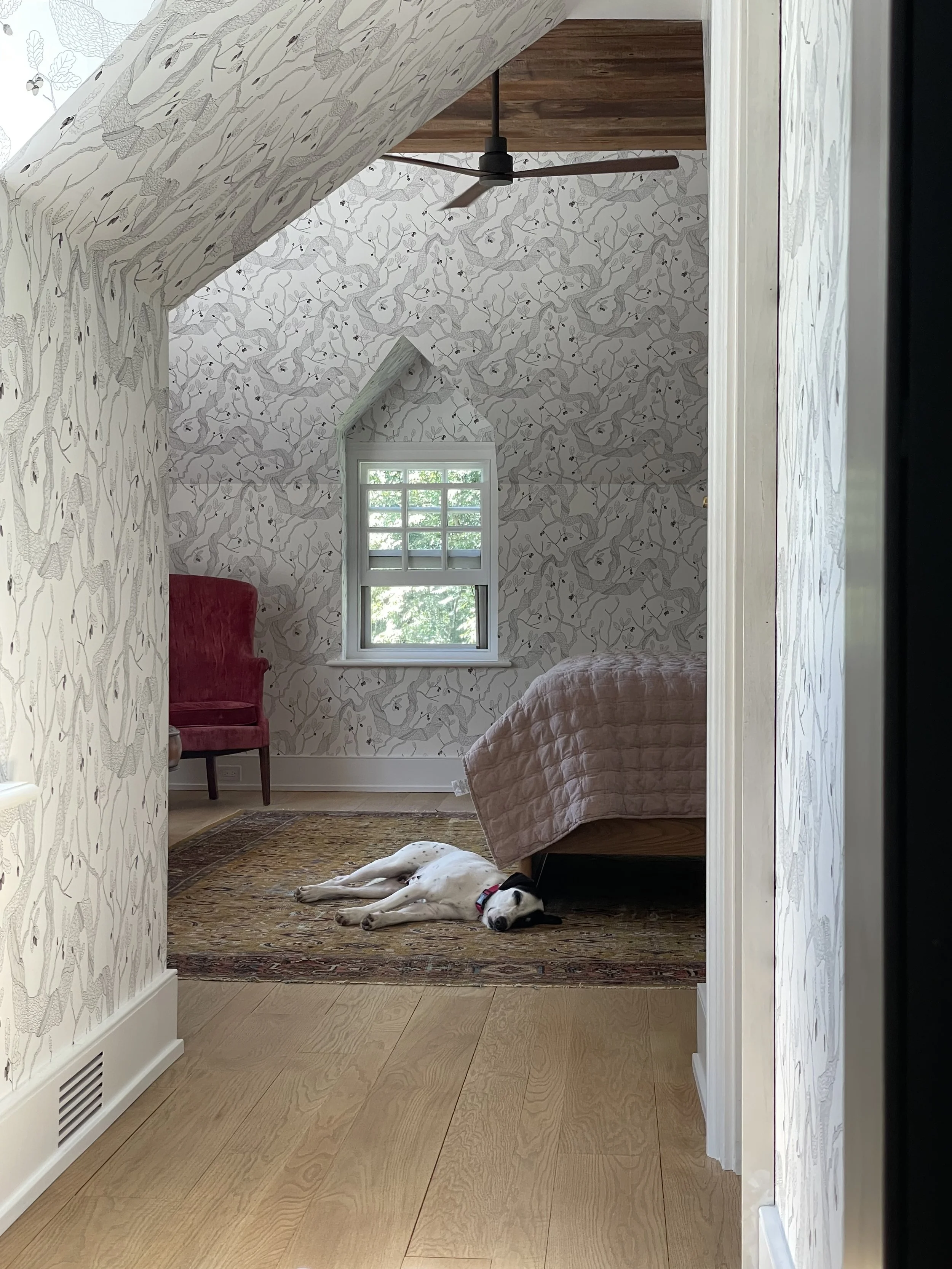 Inspiration — Abigail Edwards | Hand drawn wallpapers, fabrics and ...