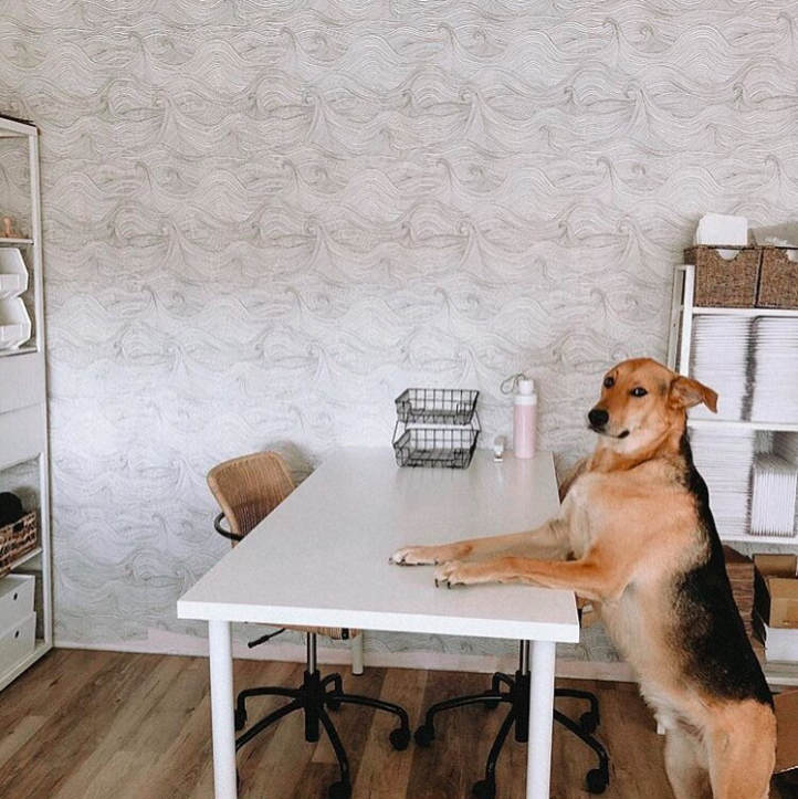 Inspiring Work Spaces — Abigail Edwards | Hand drawn wallpapers, fabrics and accessories