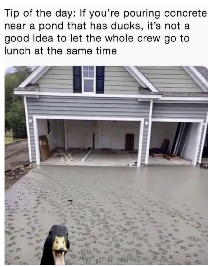 The Powerline Week in Pictures is Up — Christopher Fountain