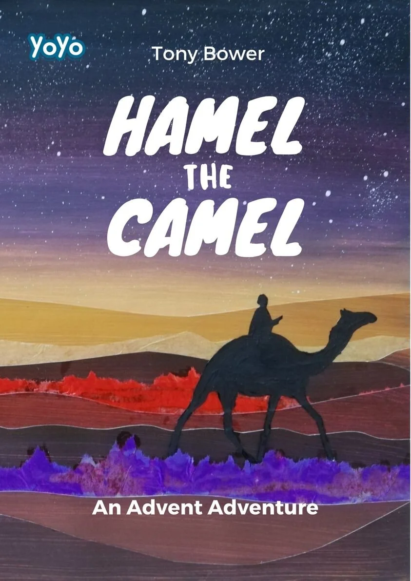 Hamel the Camel — YoYo Trust